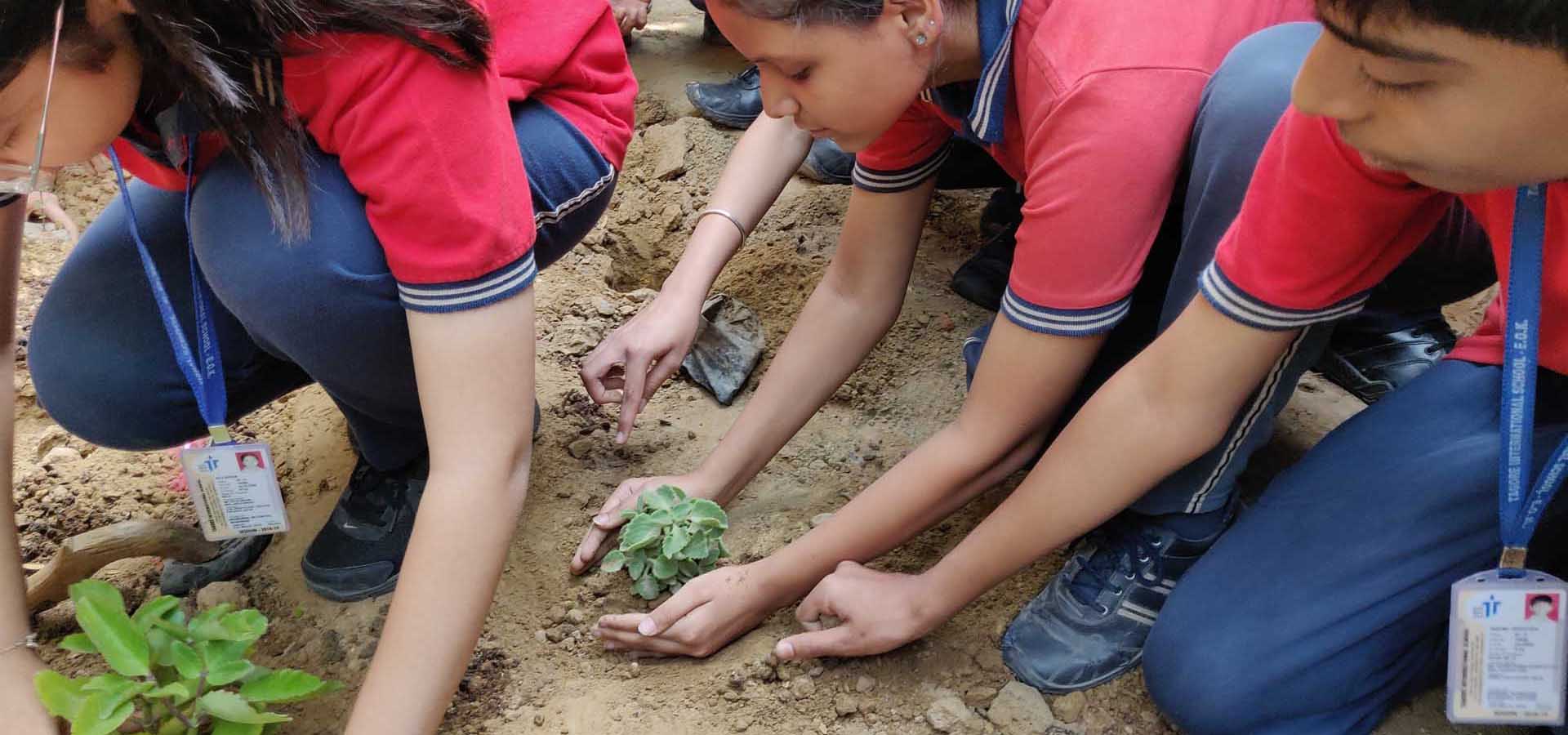 DEEKSHA: ISO Certified NGO for Environmental Sustainability